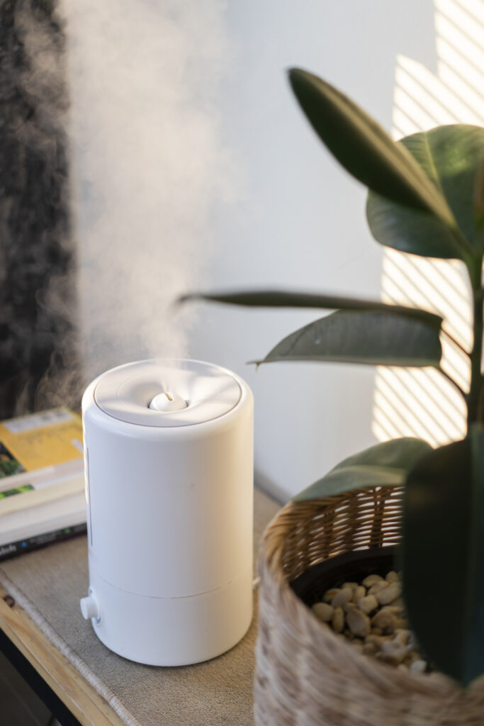 Air Purifiers and Humidifiers: What's the Difference? - Home & Texture