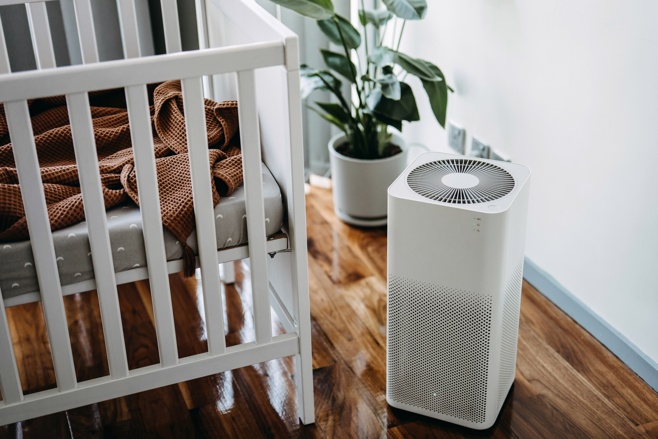Best Air Purifiers for Clean, Fresh Air - Home & Texture