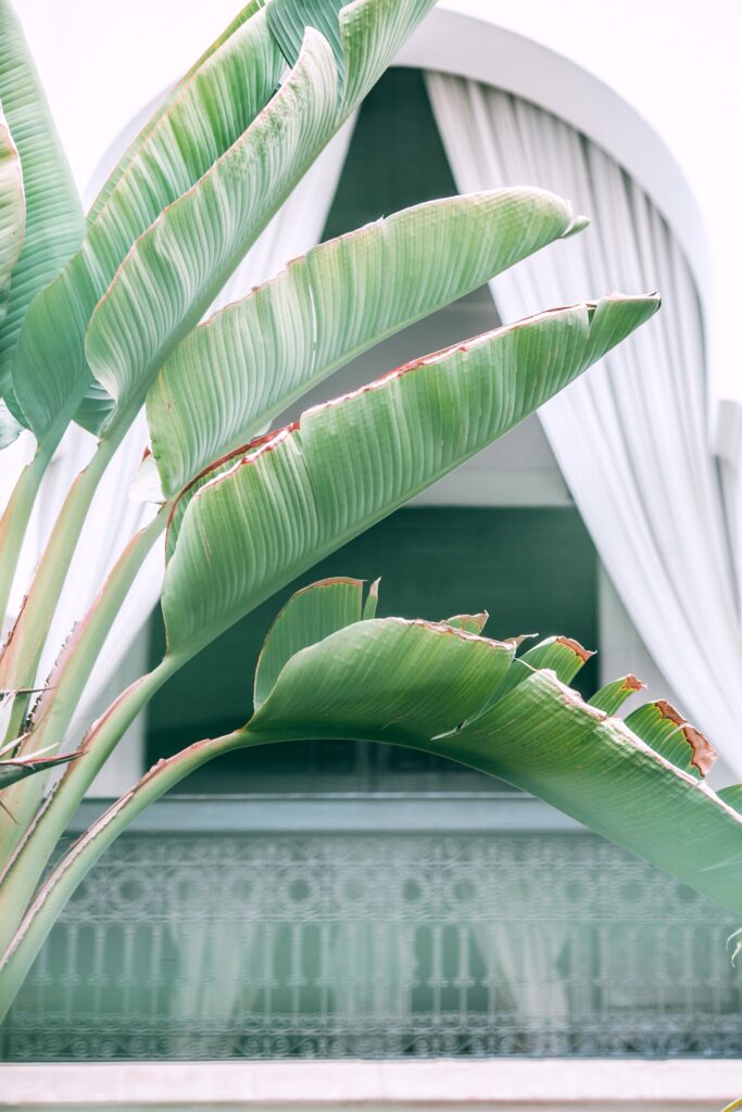 Energy Efficiency Ideas to Keep Your Home Cool - Home & Texture