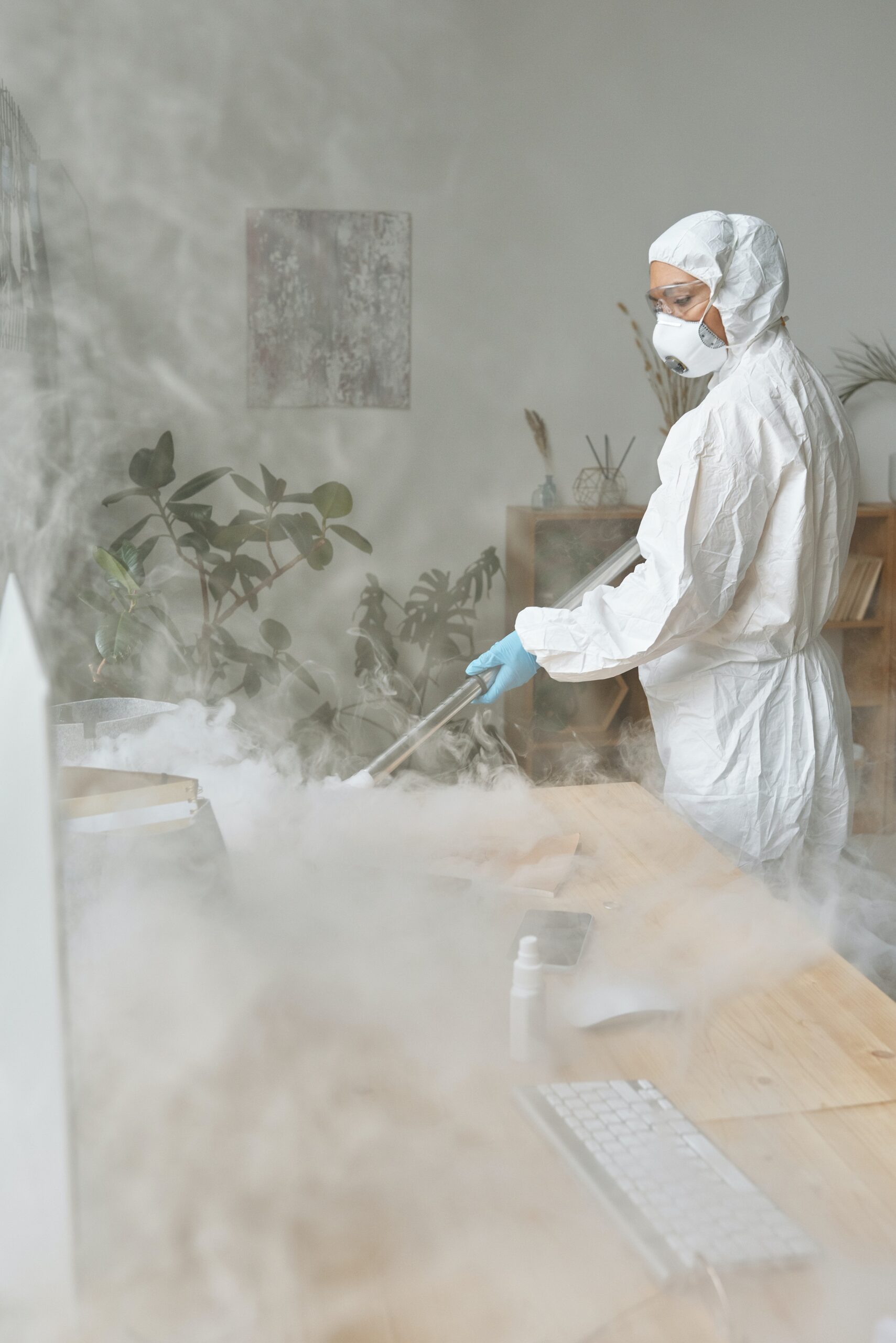 Everything You Need To Know About Fumigation - Home & Texture