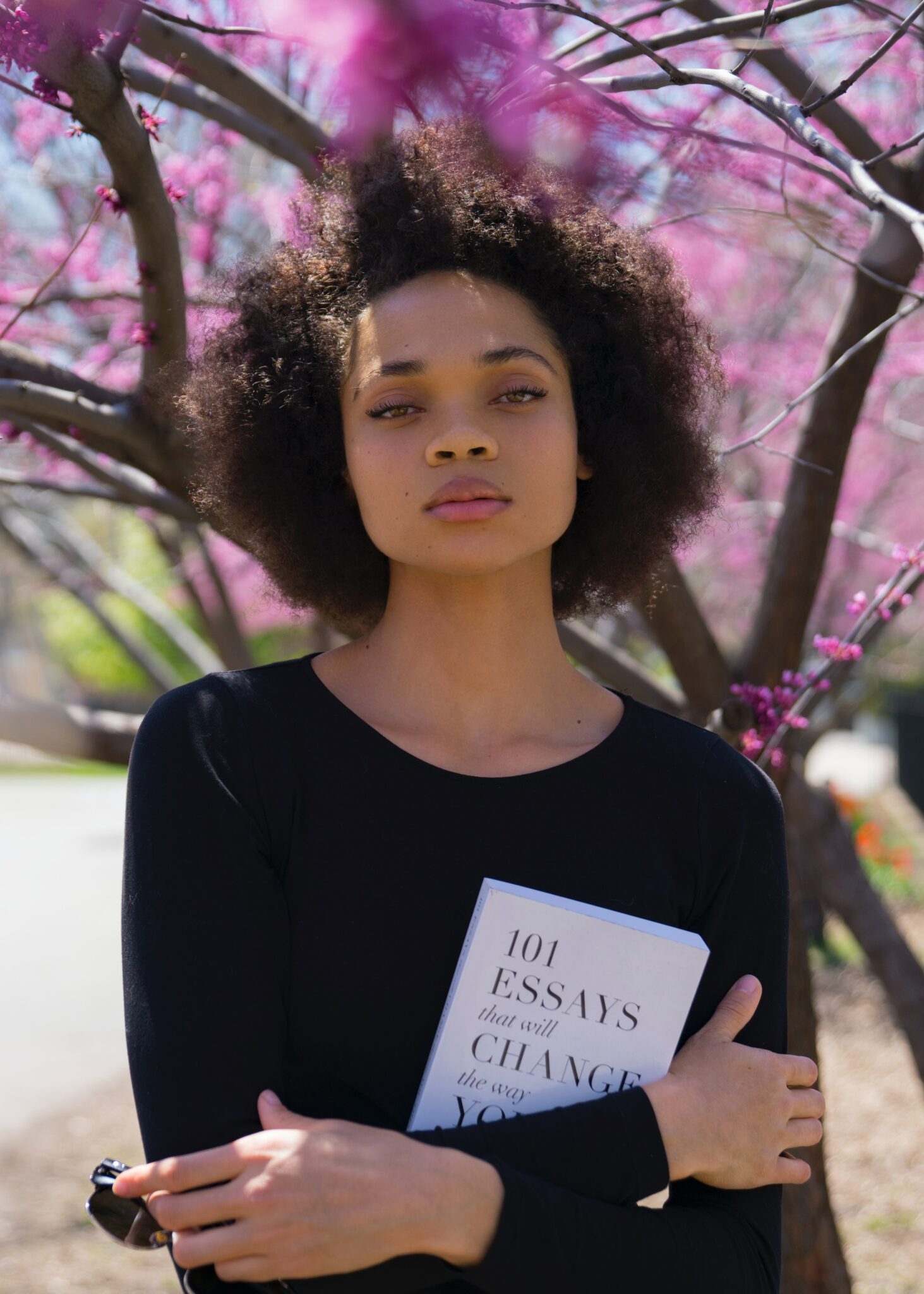 Black Finance and Economic Books - Home & Texture