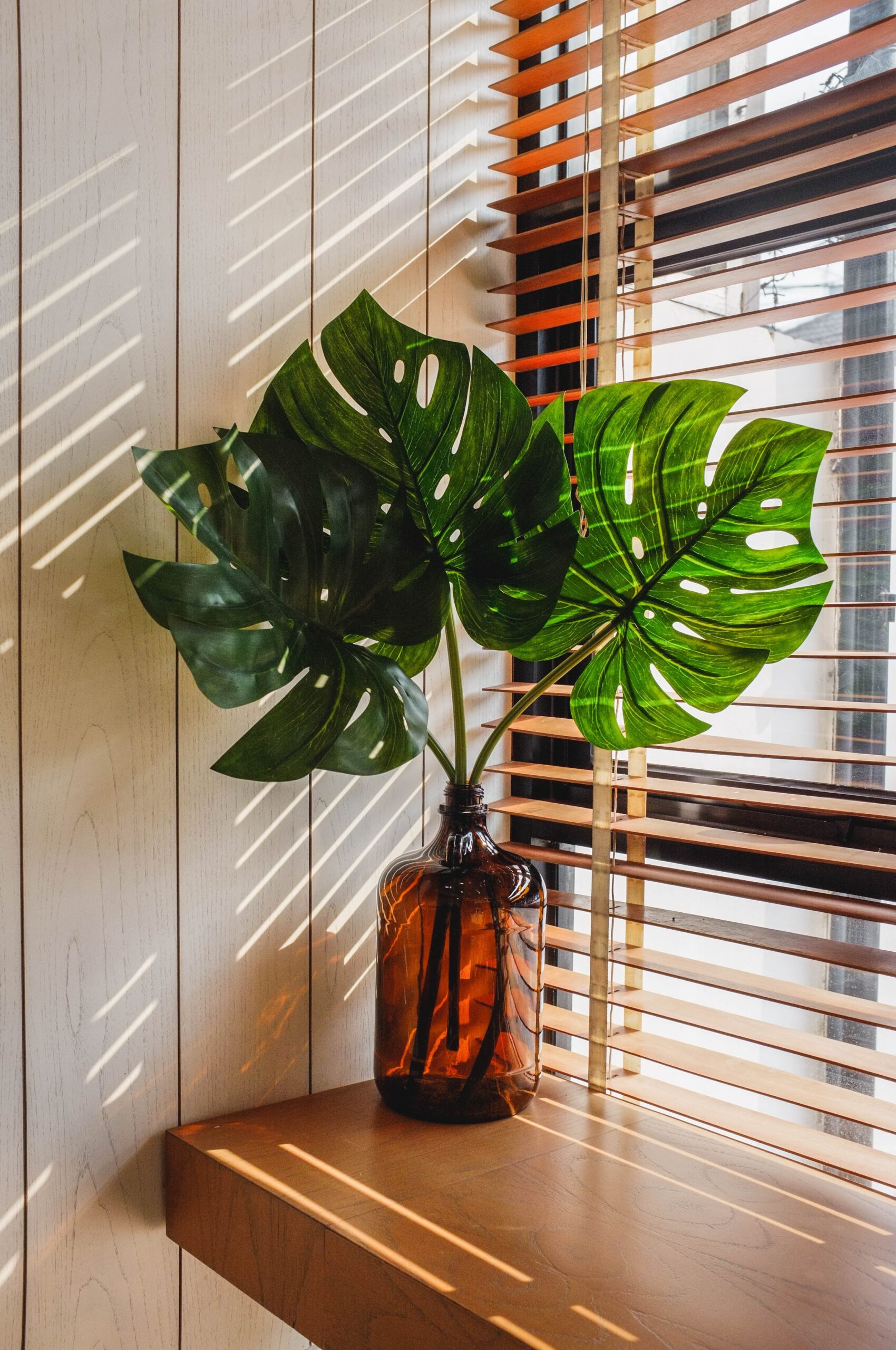 The Best Shade Plants To Have Indoors - Home & Texture