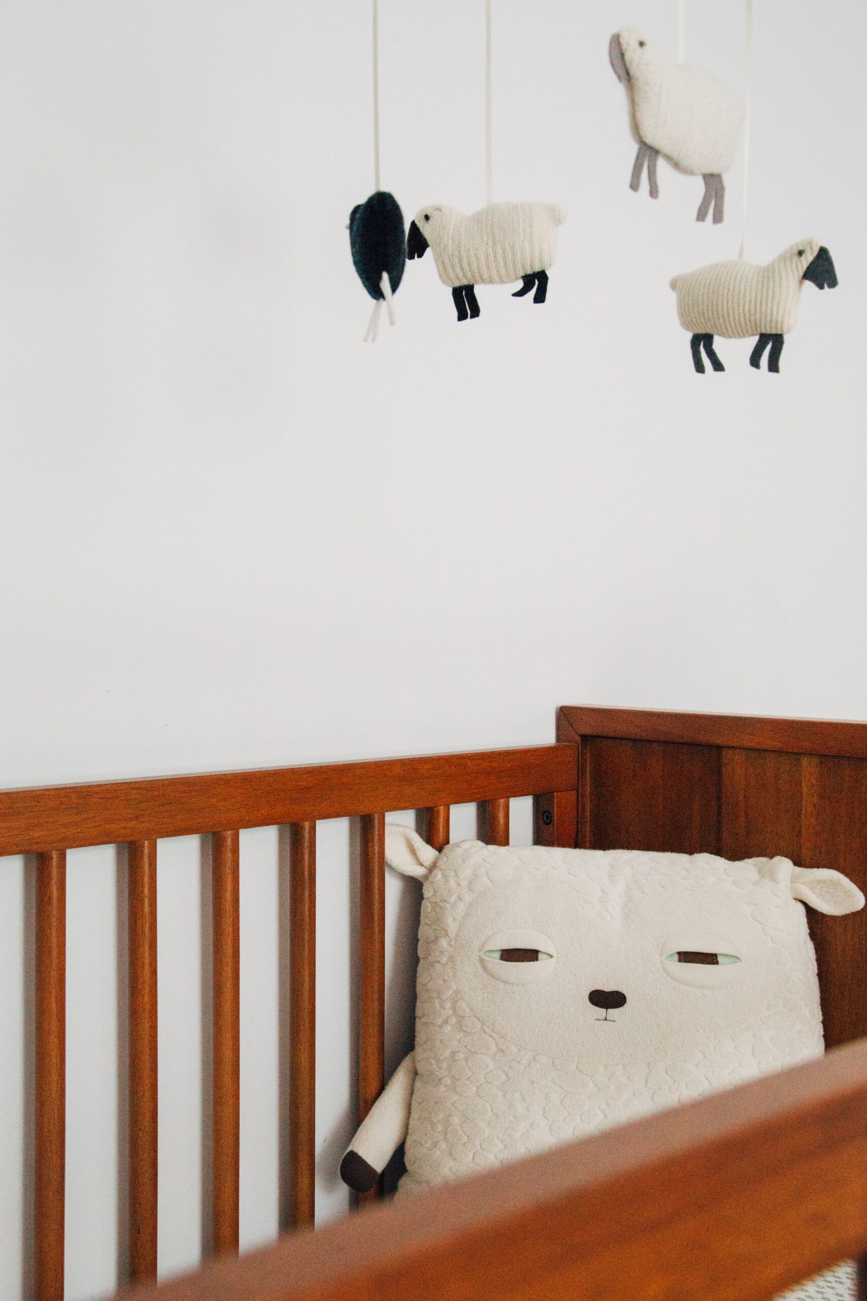 Newborn Sleep Solutions: Must-Have Products for Peaceful Sleep - Home ...