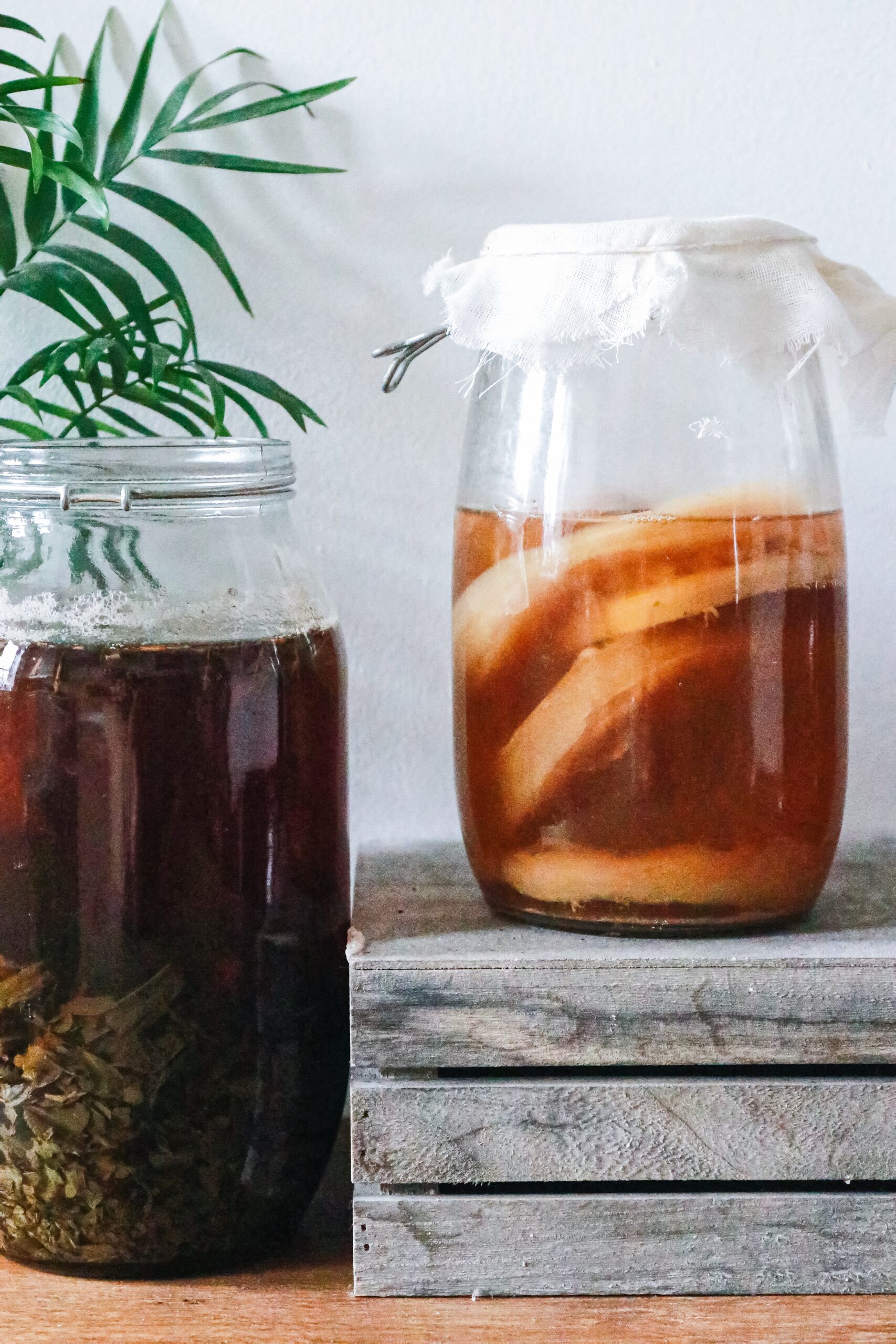 Kombucha 101: A Beginner's Guide - Home & Texture