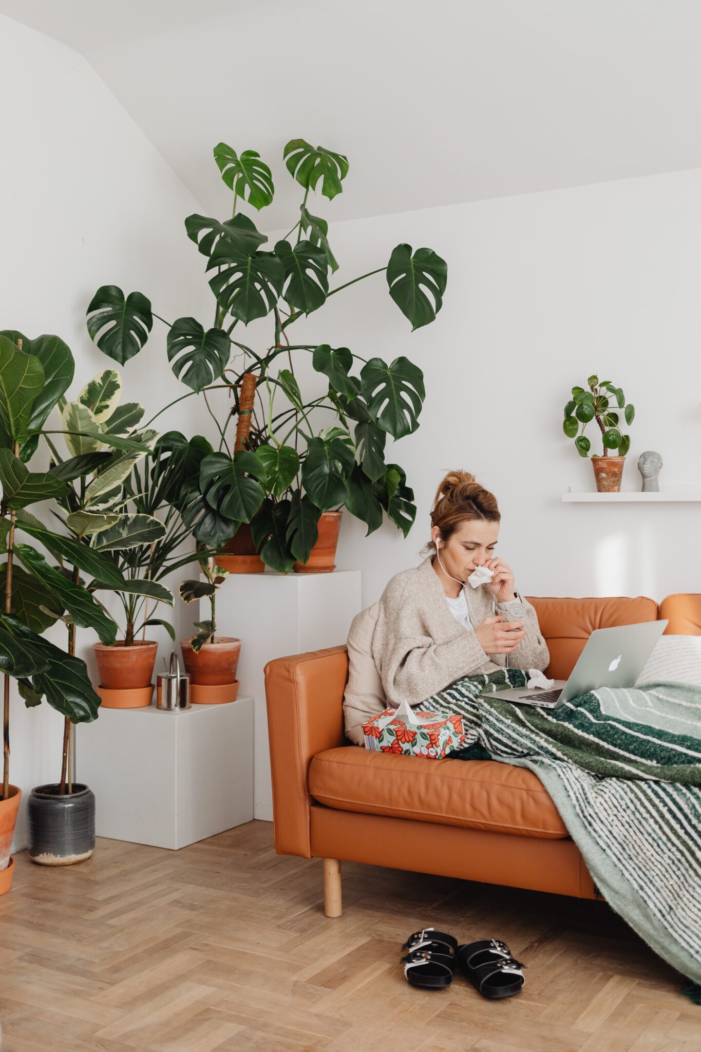 10 Pinterest-Worthy Plant Room Ideas - Home & Texture