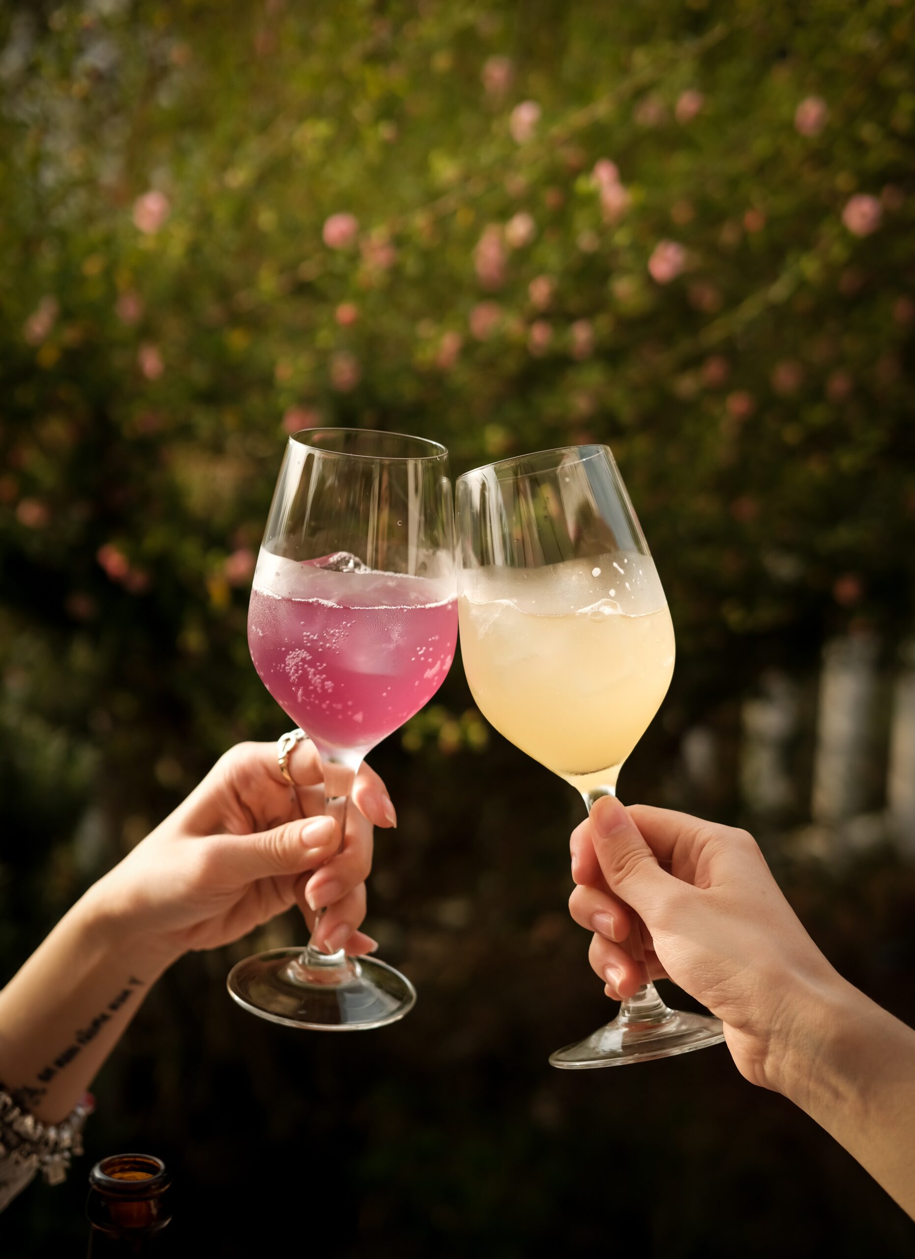 Kombucha 101: A Beginner's Guide - Home & Texture
