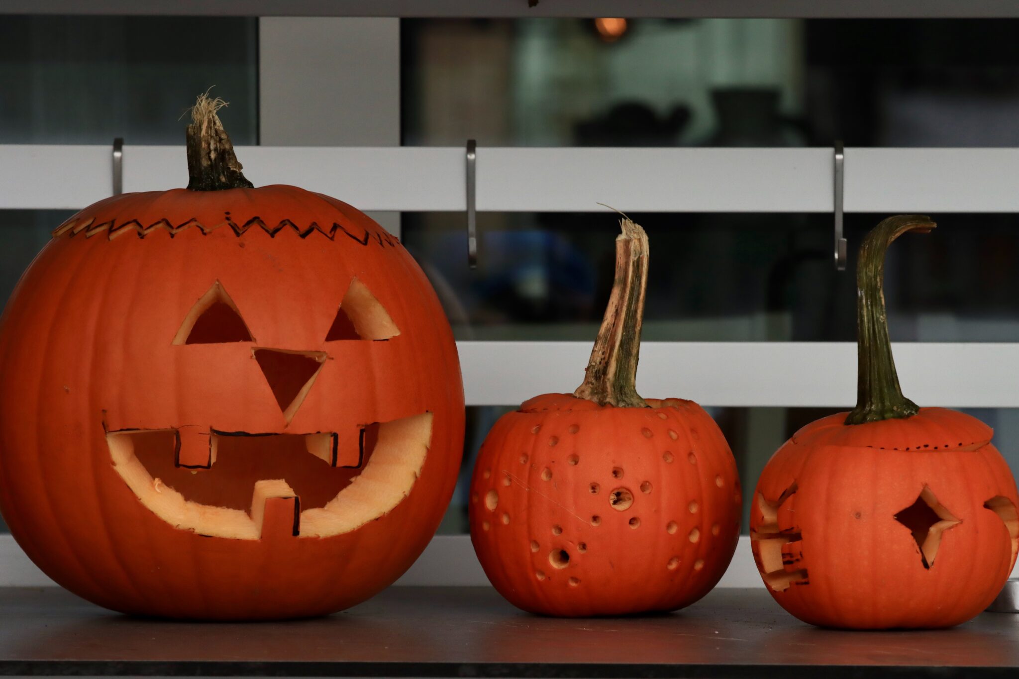 How To Create a DIY Pumpkin Planter To Add to Your Fall Decor - Home ...