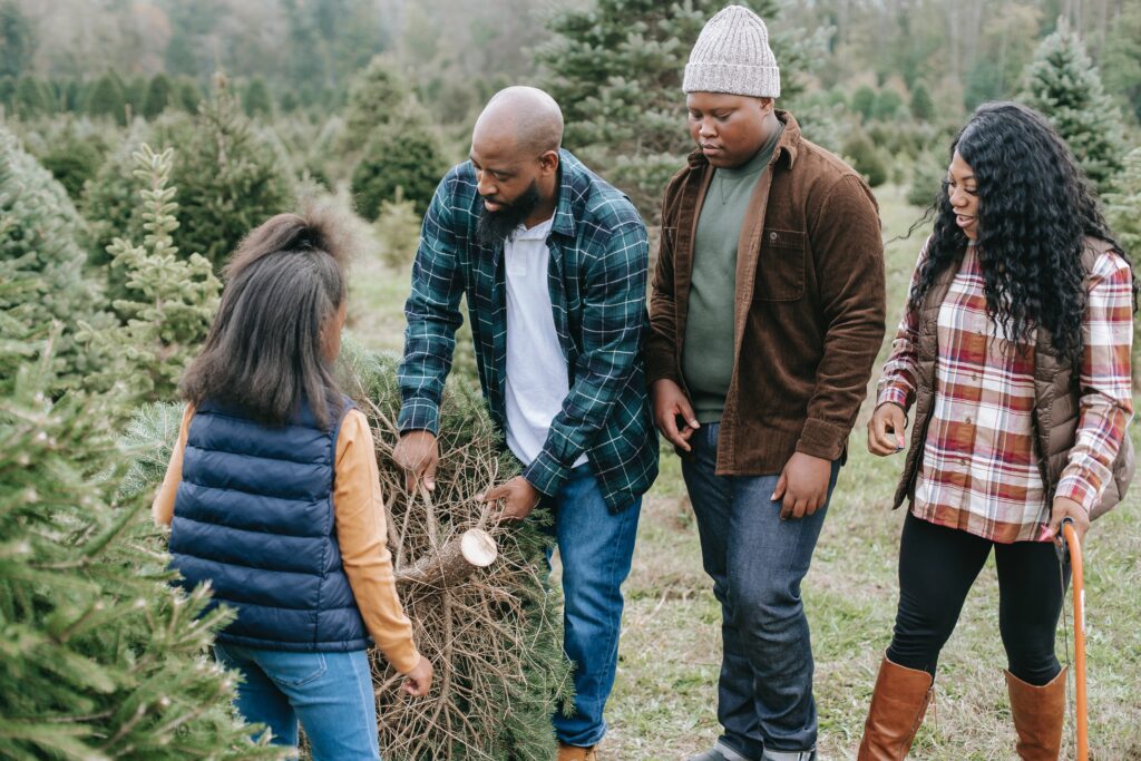 6 Tips for Picking the Perfect Live Christmas Tree Home & Texture