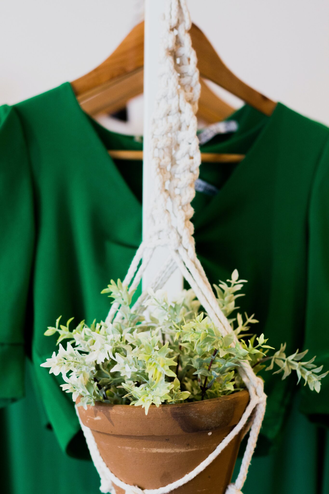 Try This DIY Plant Ladder To Show Off Your Greenery in Style Home ...