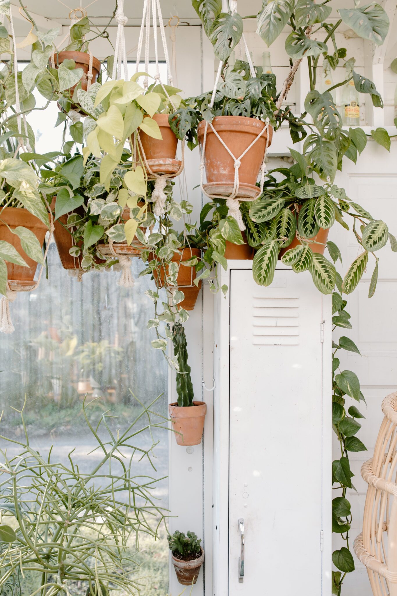 Try This DIY Plant Ladder To Show Off Your Greenery in Style Home ...