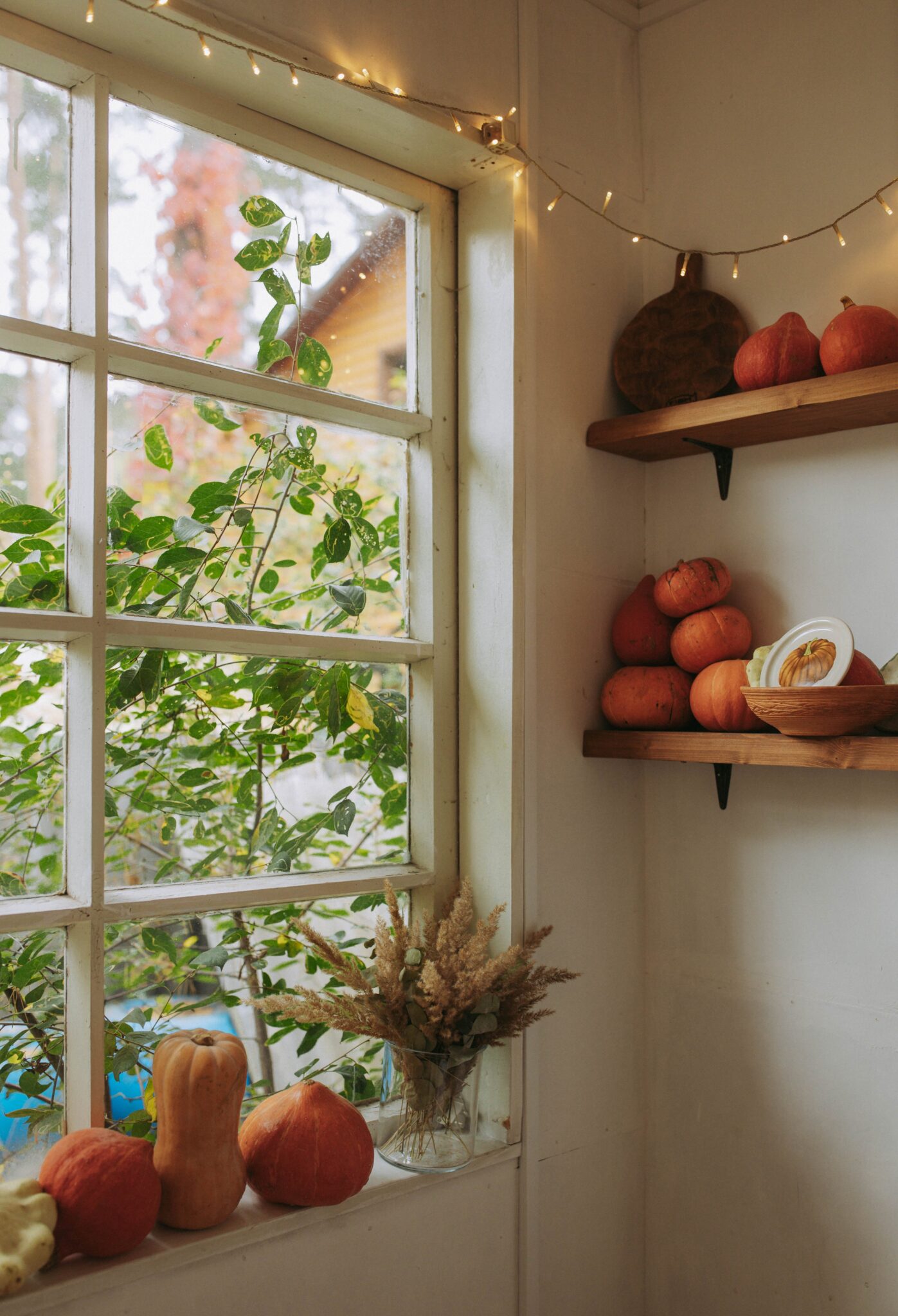 The Differences Between Traditional Homes and Modern Homes - Home & Texture