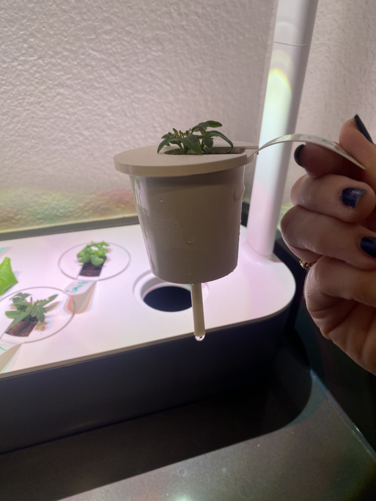 We Tried the Click and Grow Smart Garden 9—Here's Our Review - Home ...