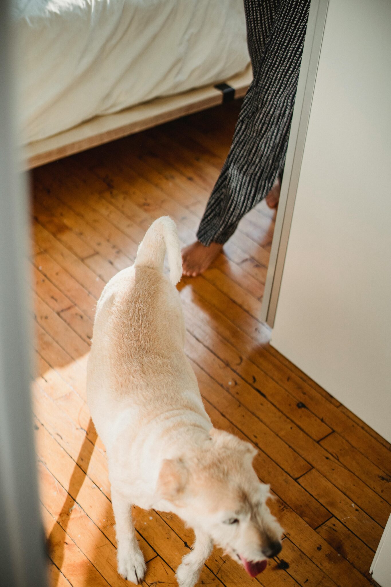 Heated Floors 101: Everything You Need To Know - Home & Texture
