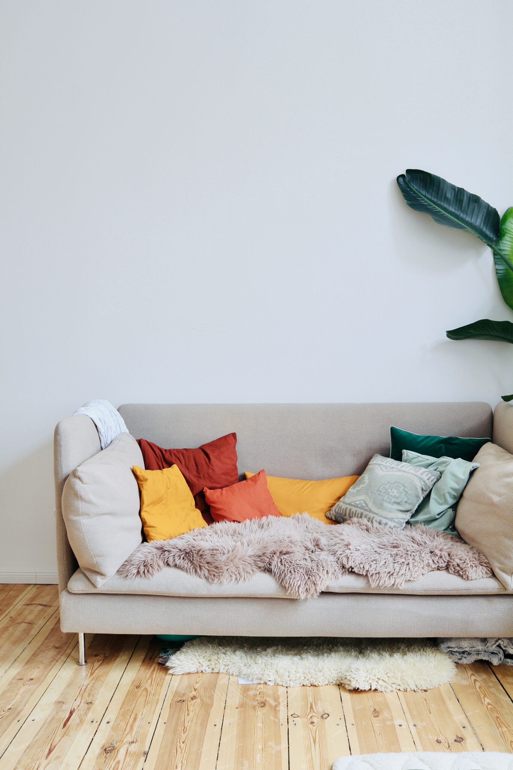 All the Different Types of Couches, Explained - Home & Texture