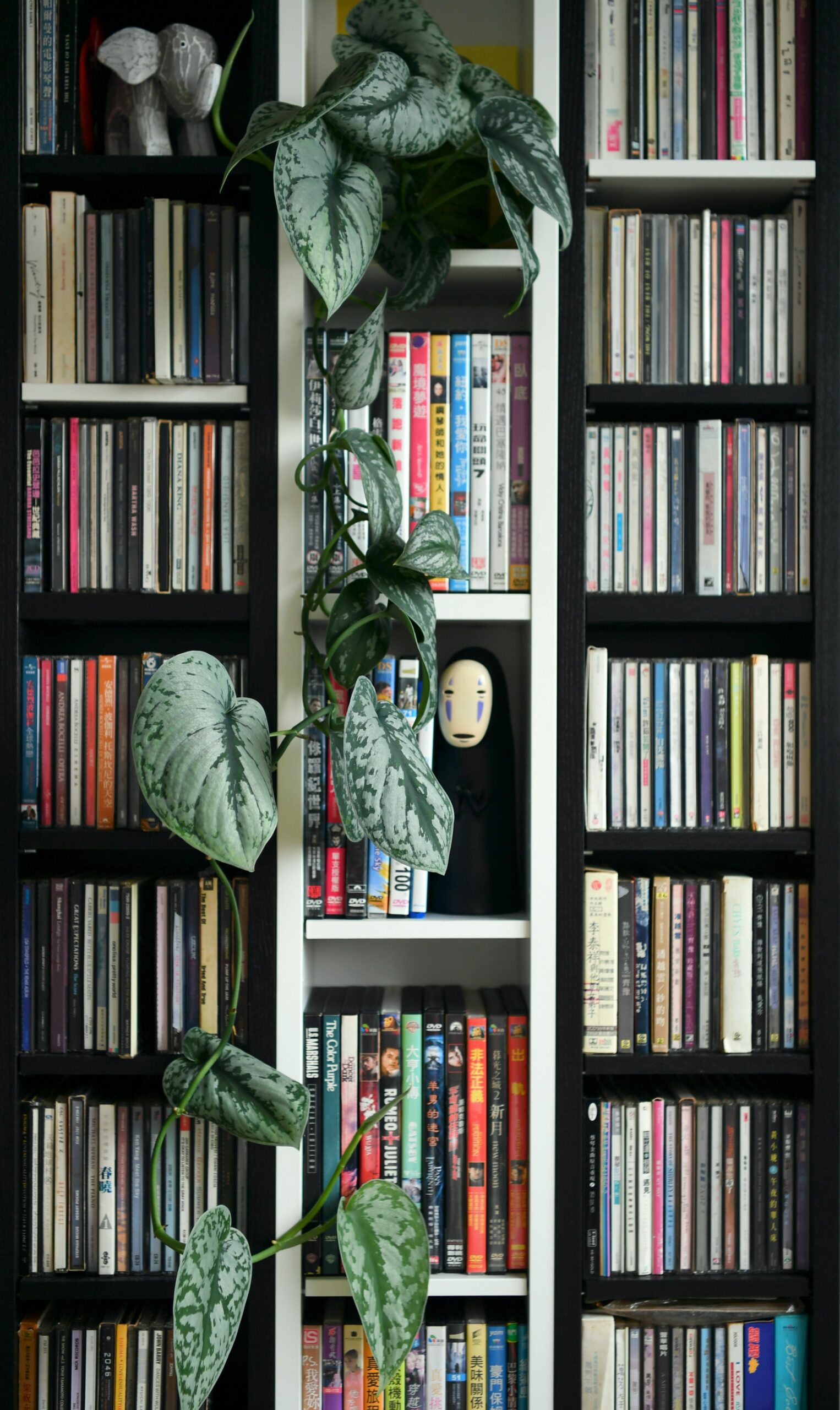 Bookshelf Wealth Inspiration We've Been Eyeing - Home & Texture