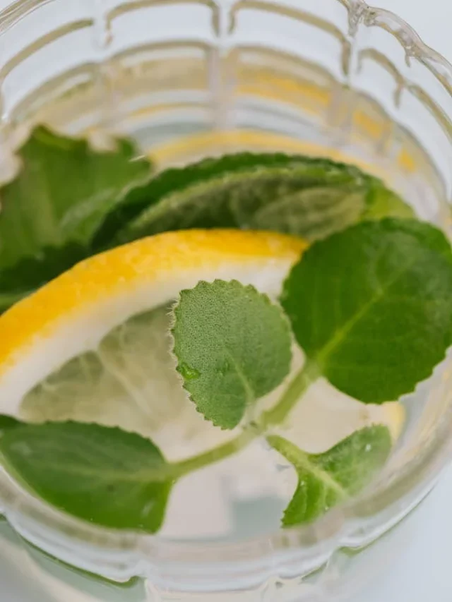 Lemon Drop: A Refreshing and Zesty Summer Drink - Home & Texture