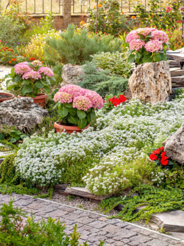 11 Ideas For Your Backyard Landscaping - Home & Texture