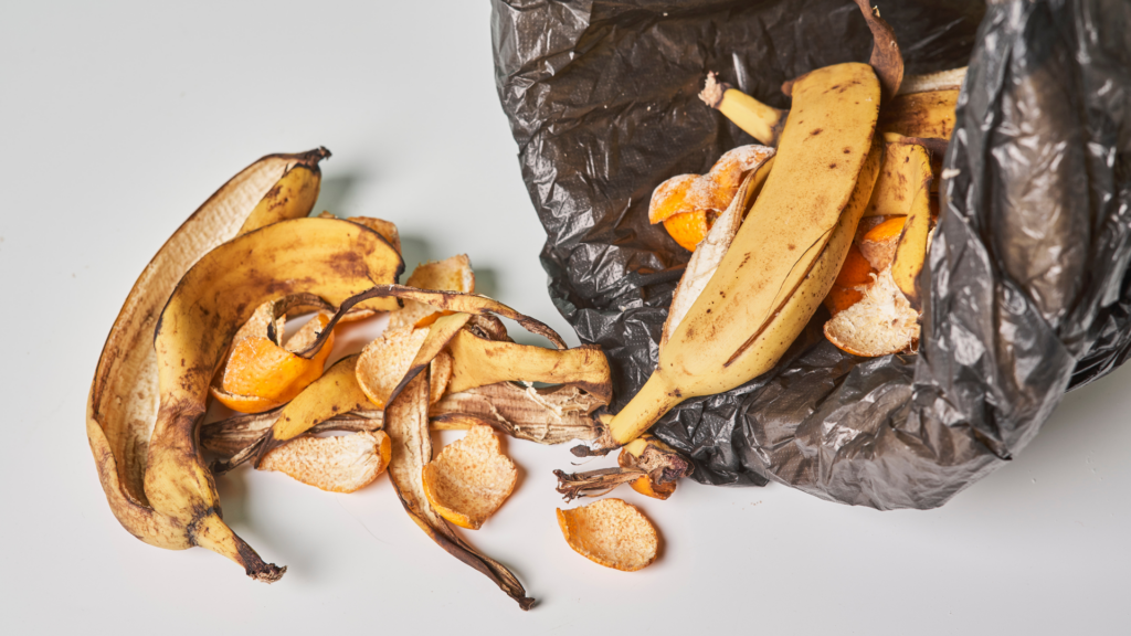 Banana Peels for Plants: Natural Fertilizer and Pest Repellent