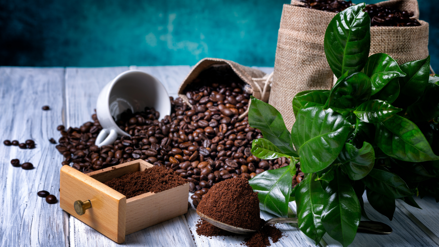 Is Coffee Good for Plants? Find Out the Pros and Cons