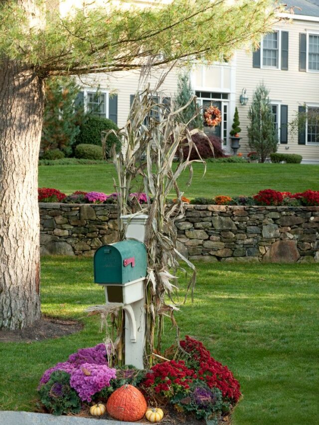 6 Easy Halloween Mailbox Decor Ideas - Home & Texture