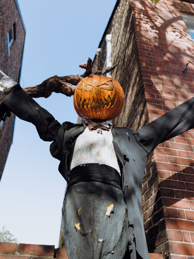 5 Unique Outdoor Scarecrow Decorations - Home & Texture