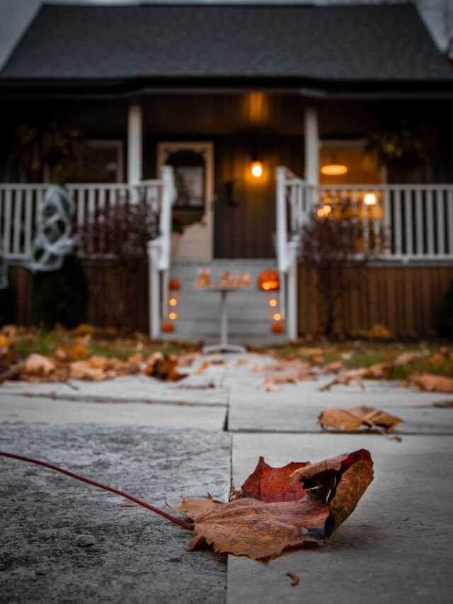 7 Scary Outdoor Halloween Decorations - Home & Texture