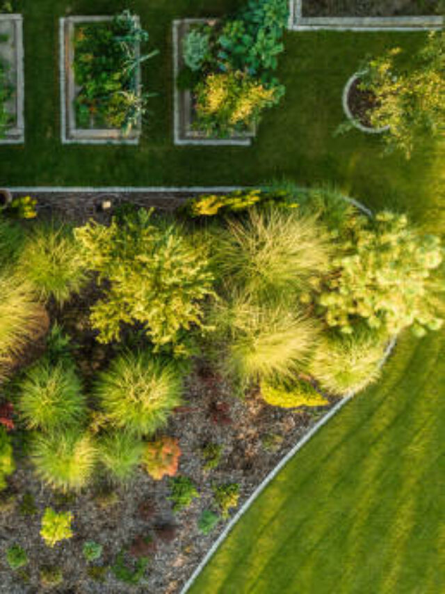 Landscaping Ideas for a Beautiful Outdoor Space - Home & Texture