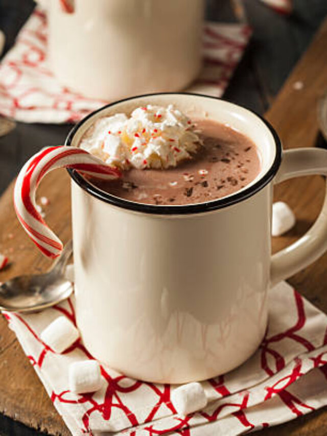 Healthy Hot Chocolate Recipes Home And Texture 5114