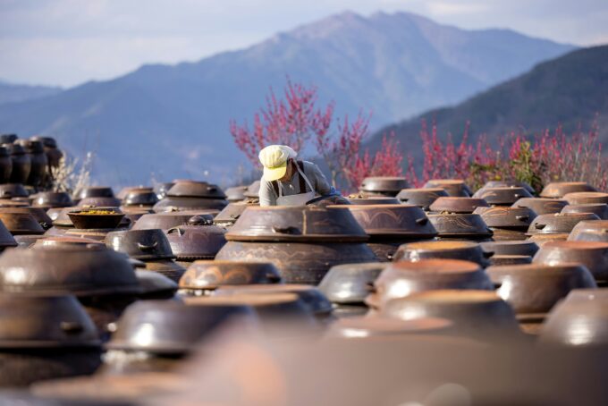 How To Make Korean Fermented Chili Paste for Your Favorite Soups and Stews