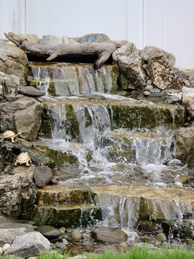 Add A Backyard Waterfall To Your Summer Oasis - Home & Texture