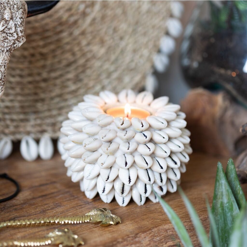 The Long History Behind Cowrie Shells—and Why They’re Showing Up at ...